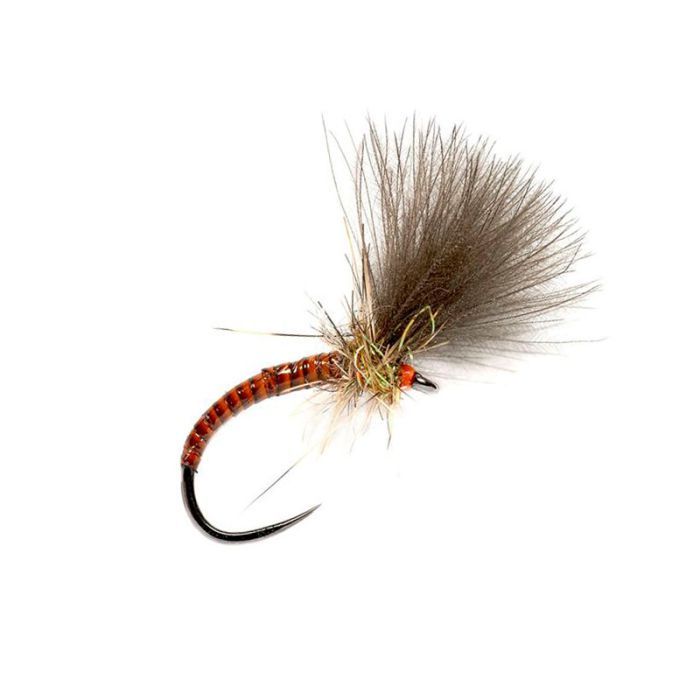 Quill CDC Emerger Orange