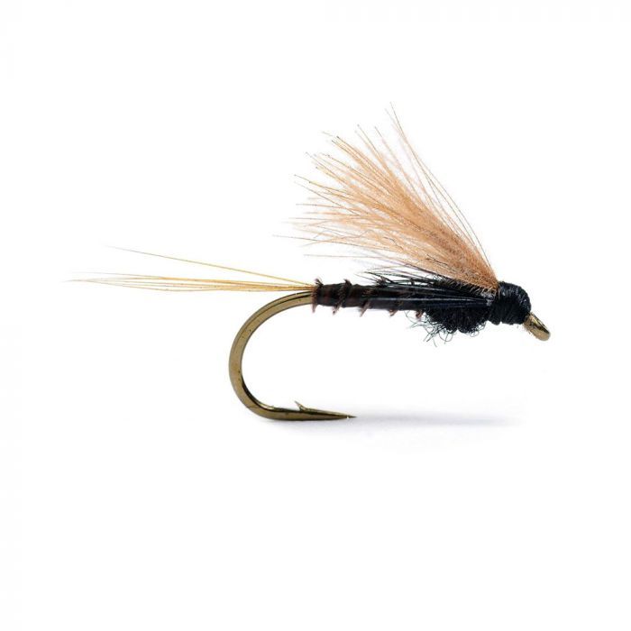 Guideline Cdc Biot Dun Emerger, Lepto