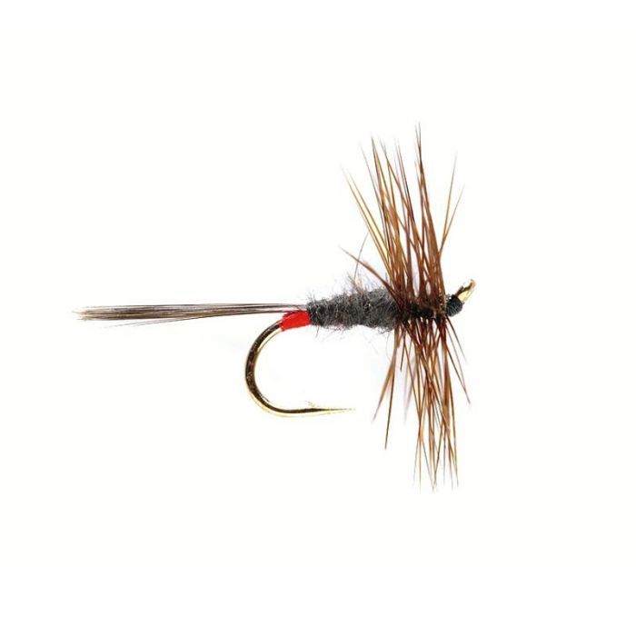 Iron Blue Dun Dry Fly