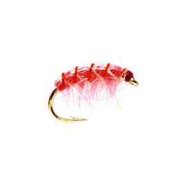 Shrimper Nymph, orange
