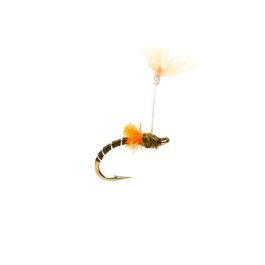 Parasol Midge, olive