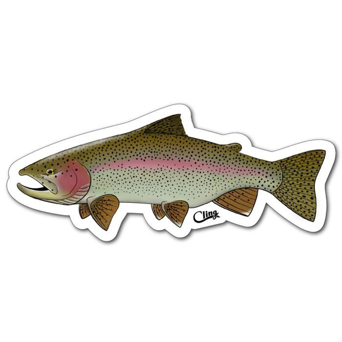 Cling Rainbow Trout Sticker, Fly Fishing