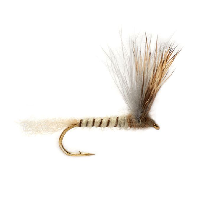 Fulling Mill Procters Stuck Shuck Compara May, Fly Fishing