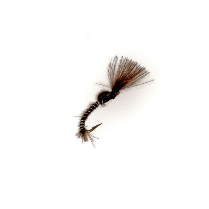 Marc Petitjean MP 46 - CDC Emergent Midge Pupa