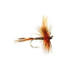 Traditional March Brown, Dry Fly, Fly Fishing