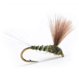 Guideline CDC Biot Comparadun, grey olive