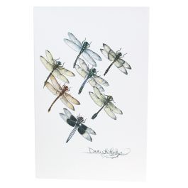 Note Card - Dave Whitlock Dragonflies
