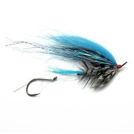 Foxee Dog, black & blue