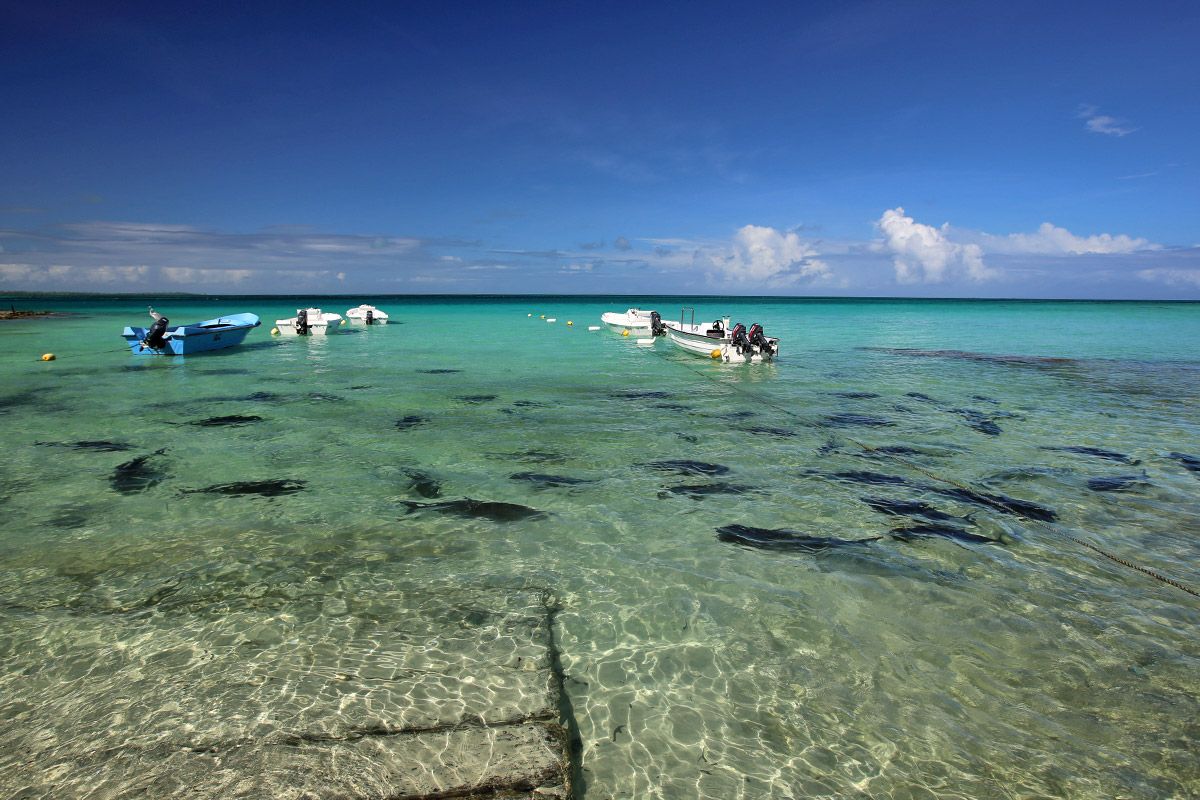 Farquhar Aboard Fliegenfischen | Seychellen - AOS Flyfishing ...