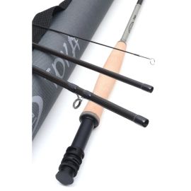 vision vector iguana green